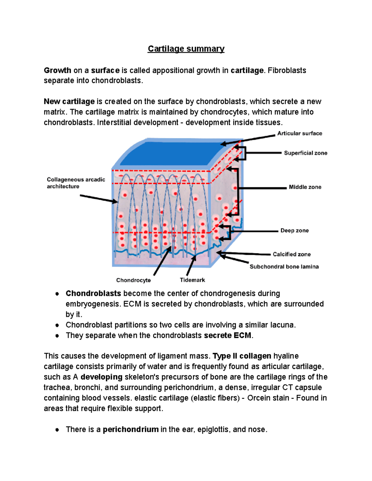 Cartilage summary - Cartilage summary Growth on a surface is called ...