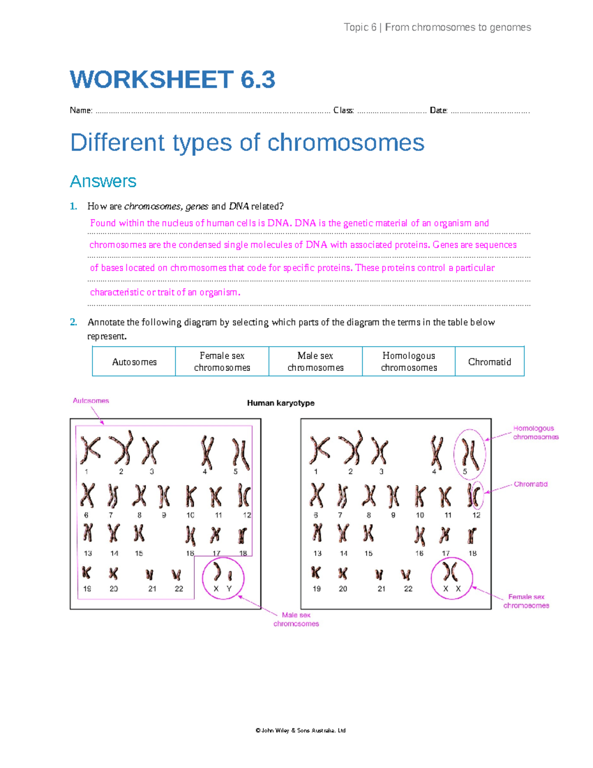 Worksheet 6.3- Different types of chromosomes (answers) - Topic 6 ...