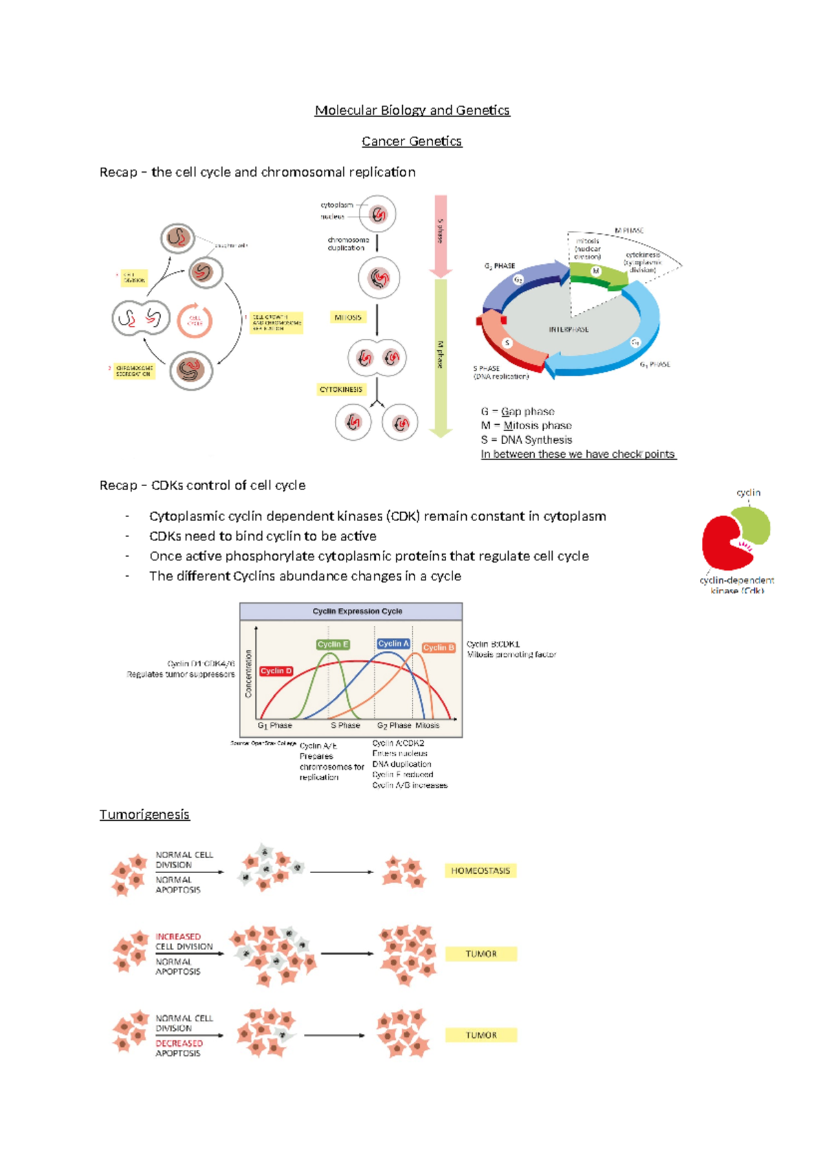Week 6 Cancer Genetics - Molecular Biology and Genetics Cancer Genetics ...