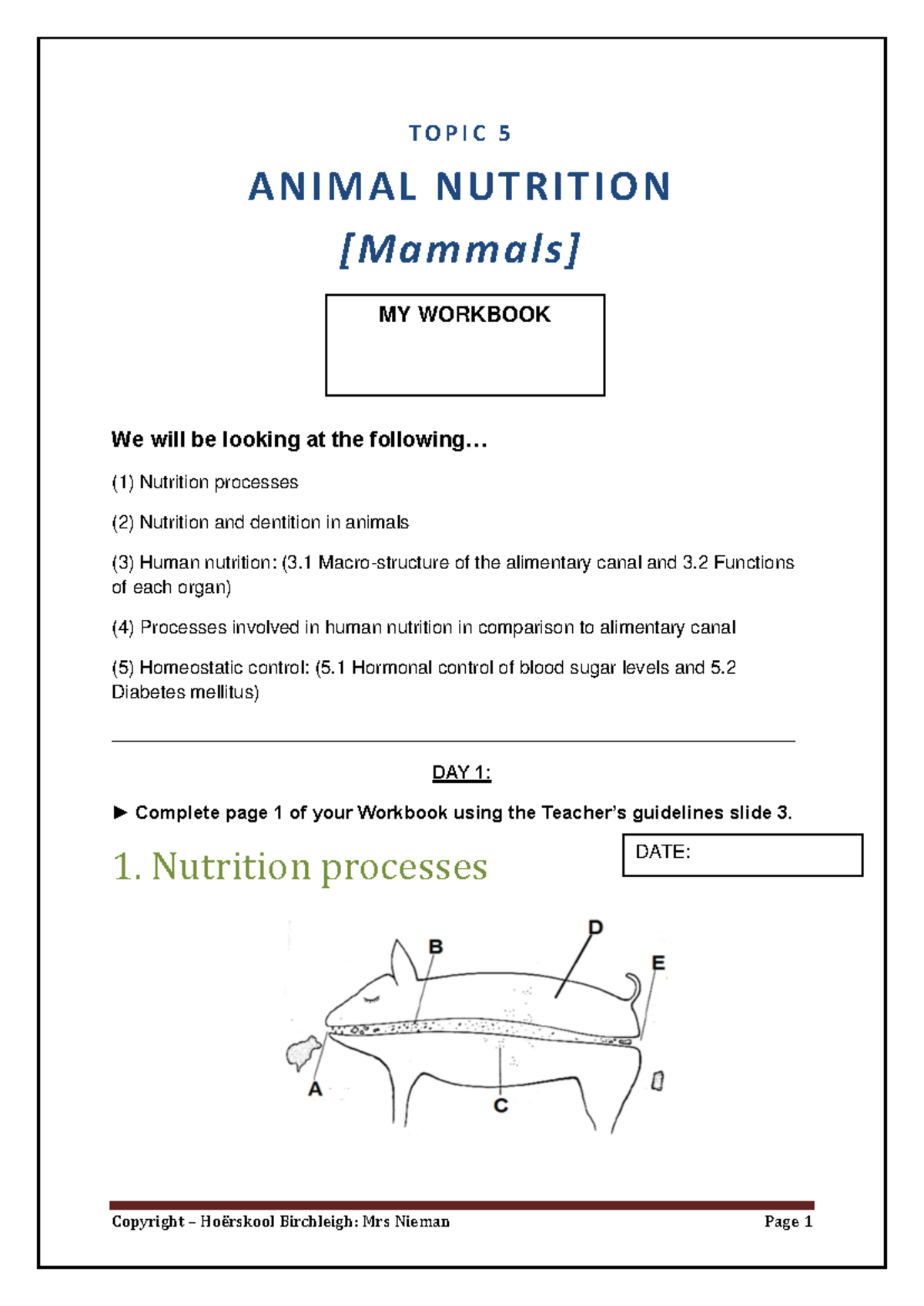 LS Gr 11 Topic 5 My workbook 2021 - T O P I C 5 ANIMAL NUTRITION ...