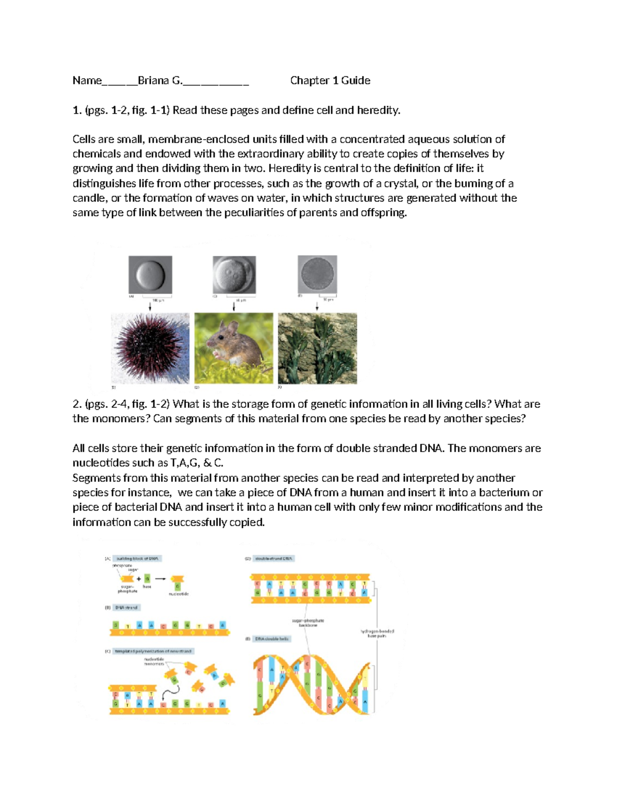 BGonzalez-BIO-333 CH1 Guide 7e - Name______Briana G.___________ Chapter ...