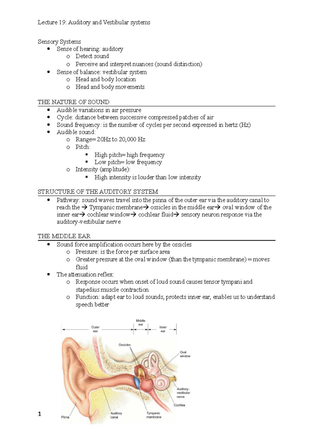 Lecture 19 - Vestibular systems - Lecture 19: Auditory and Vestibular ...