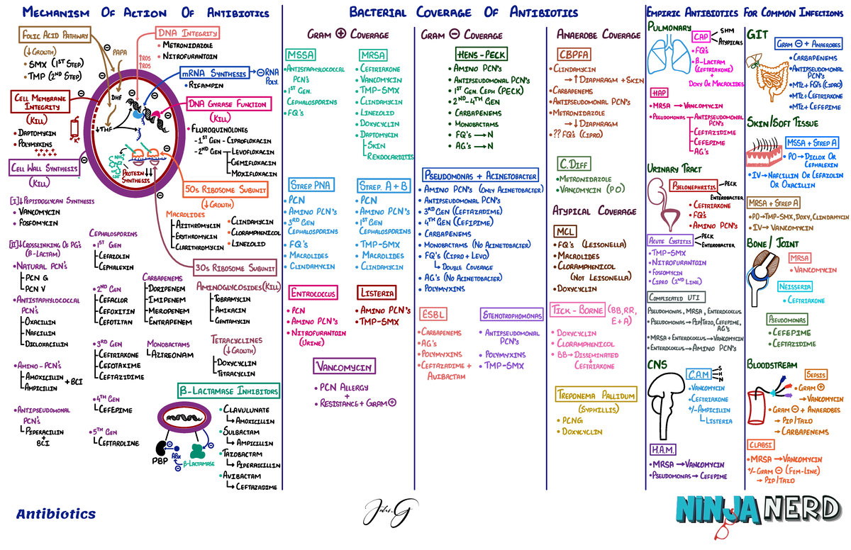 Slide Antibiotics Pharmacology - MECHANISM OF ACTION OF ANTIBIOTICS ...