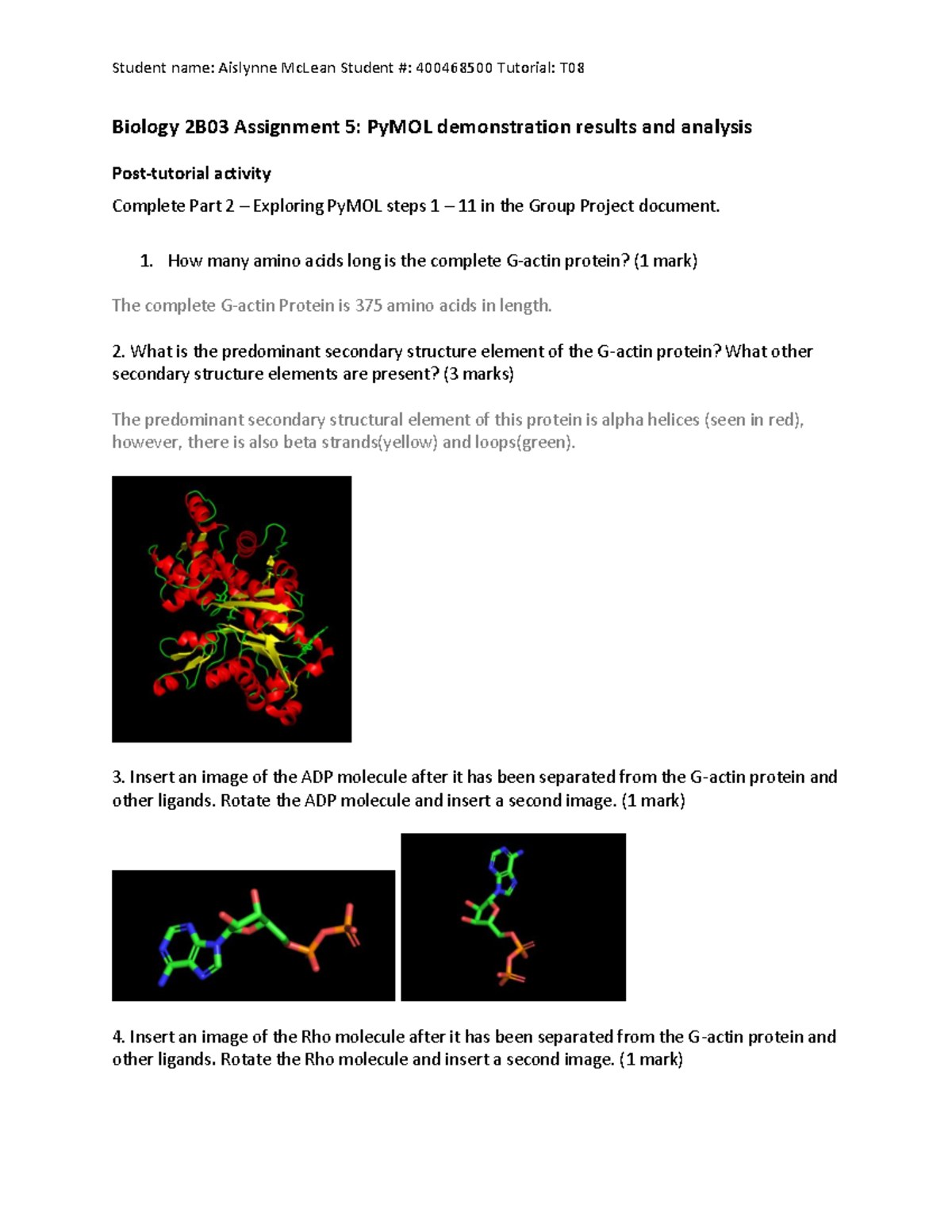 Bio 2B03 Assignment 5 - Py MOL demonstration - 1. How many amino acids ...