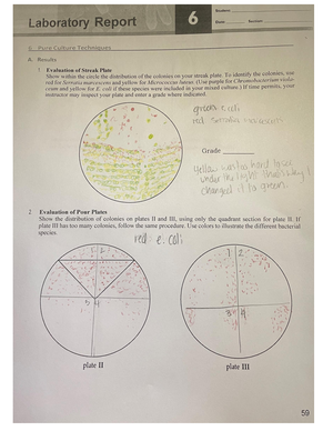 Exercise 12 Lab Reportgnz - Laboratory Report Student: Date: Section ...