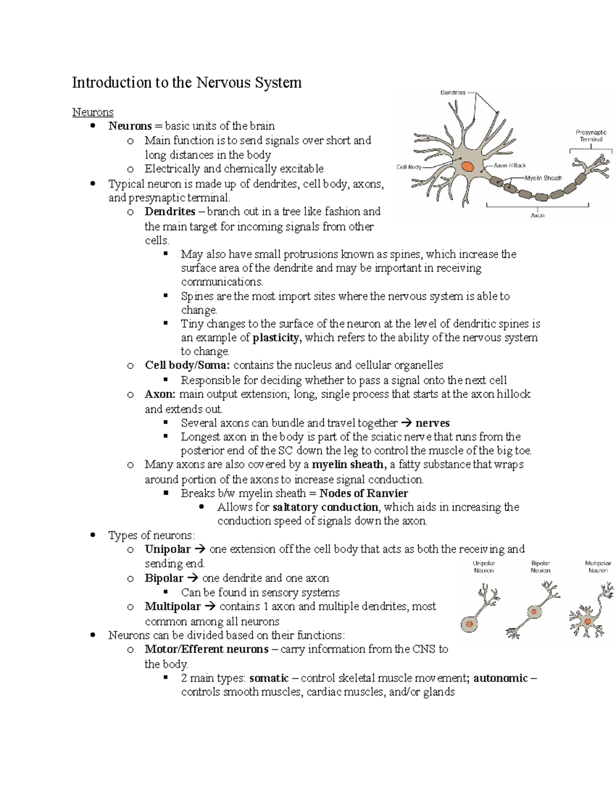 Module 1 Notes - Introduction to the Nervous System Neurons Neurons ...