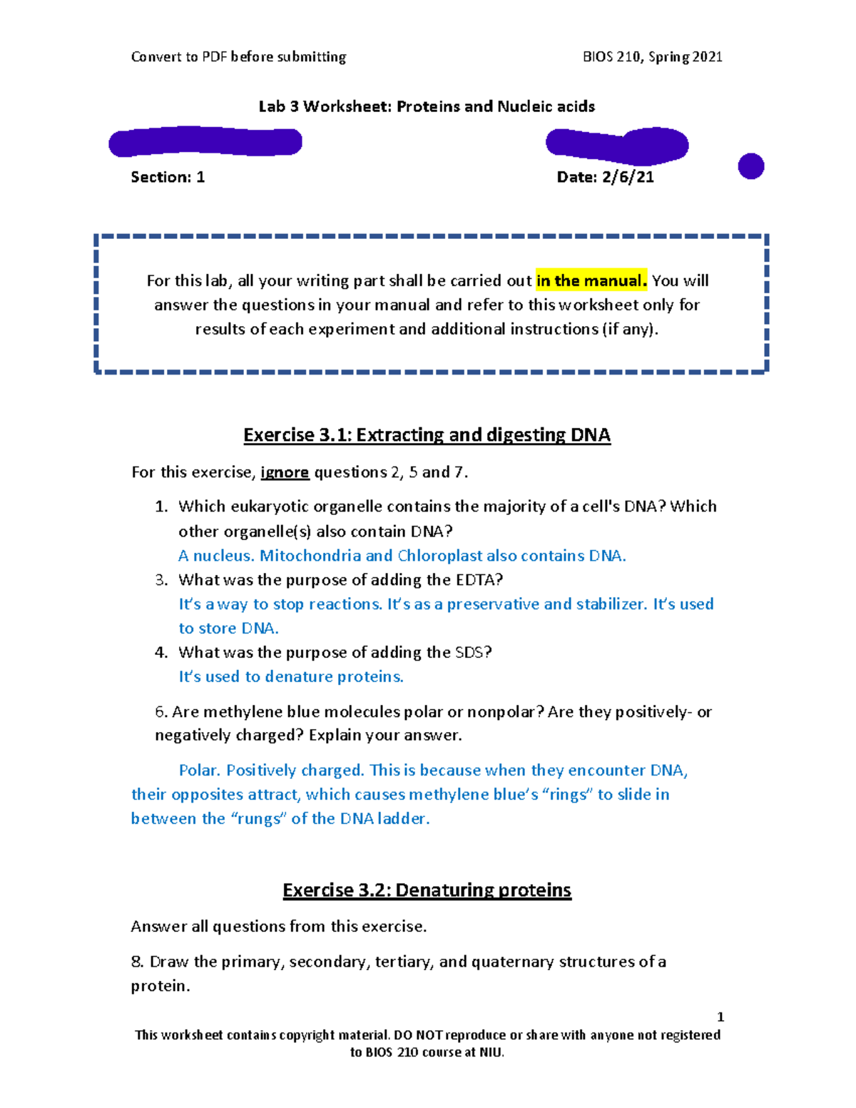 Lab 3 Worksheet - Proteins and Nucleic acids - 1 This worksheet ...