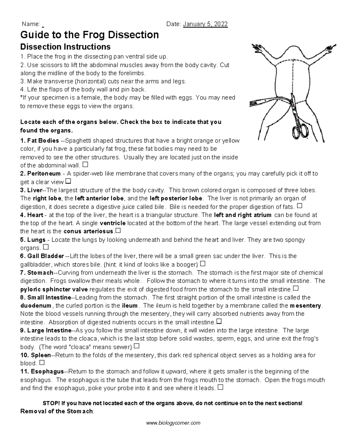 Frog Dissection Internal Anatomy - Name: Date: January 5, 2022 Guide to ...