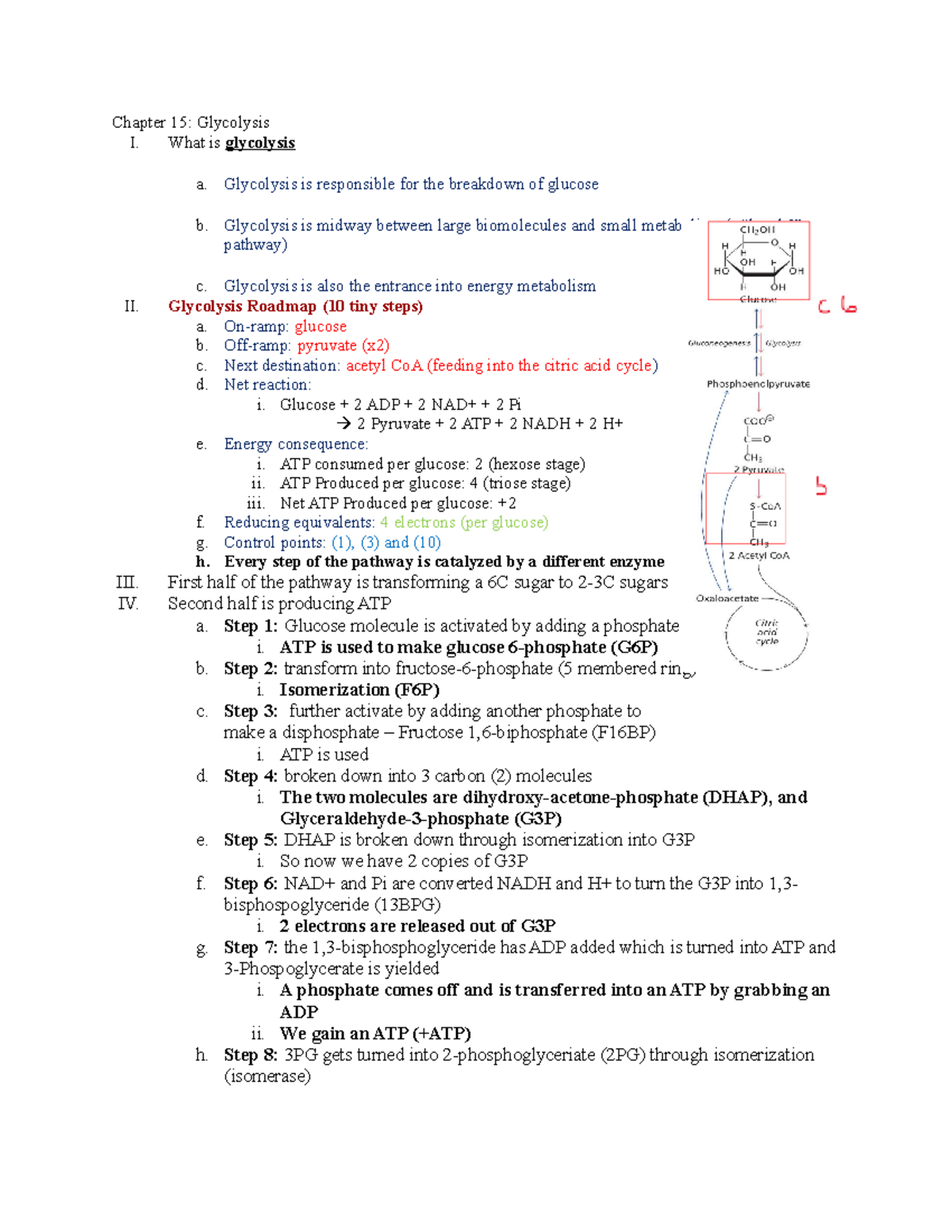 2020 Biochemistry lecture notes lecture 16 - Chapter 15: Glycolysis I ...