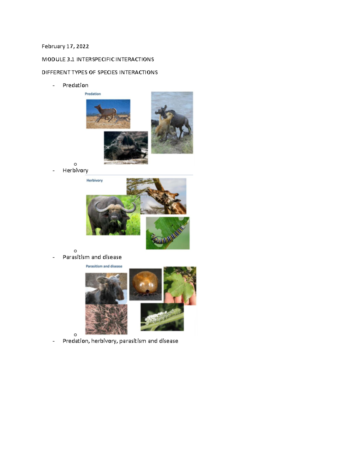 February 17 - interspecific interactions, nature of interaction ...