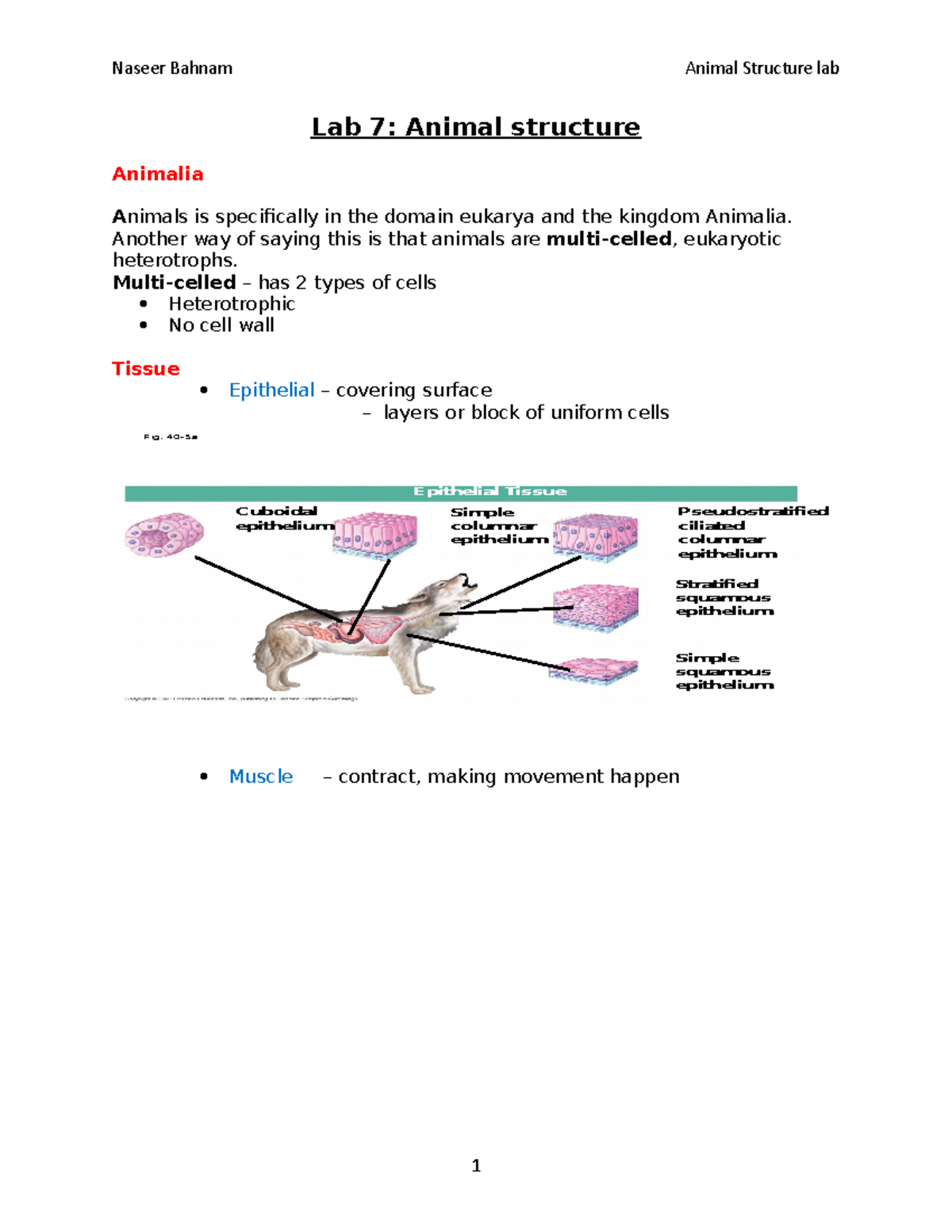 Animal structure - Naseer Bahnam Animal Structure lab Lab 7: Animal ...