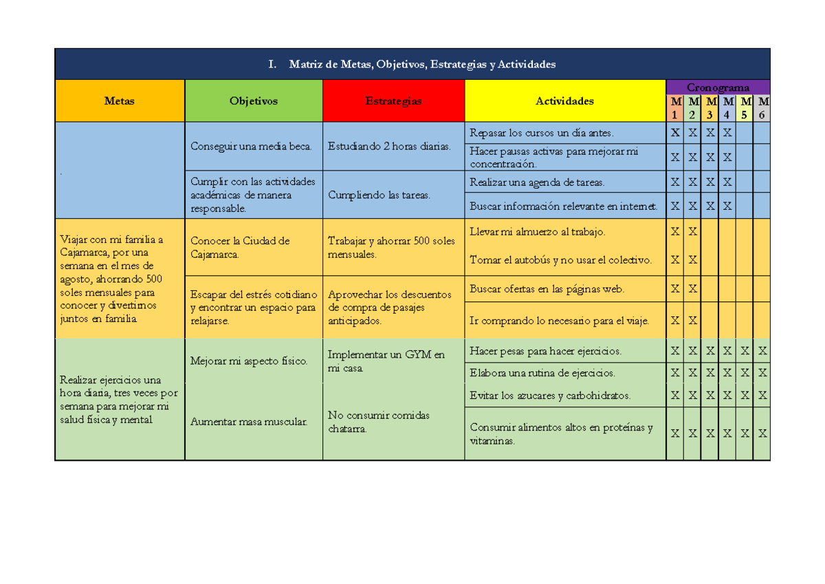 Matriz de Metas - I. Matriz de Metas, Objetivos, Estrategias y ...