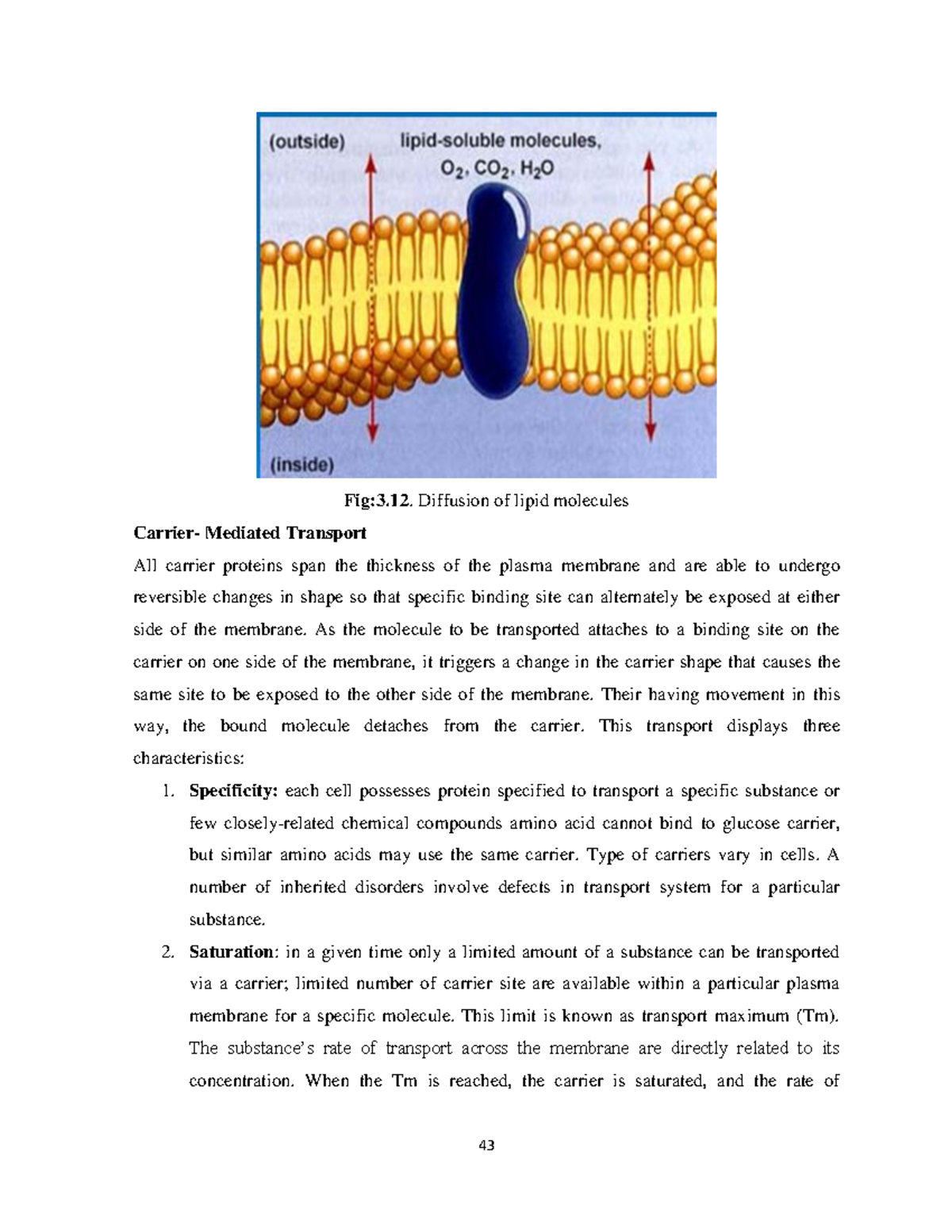General Biology-15 - 43 Fig:3. Diffusion of lipid molecules Carrier ...