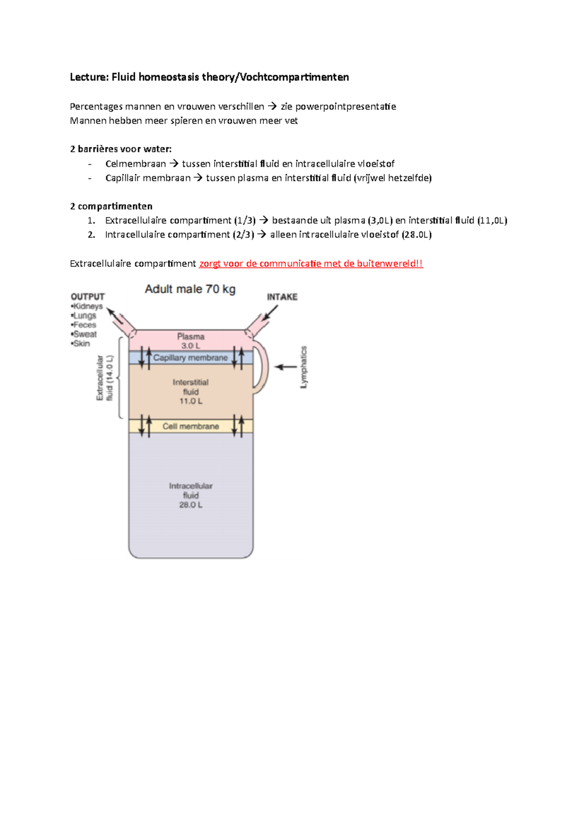 Lecture Fluid homeostasis theory/Vochtcompartimenten - Lecture: Fluid ...