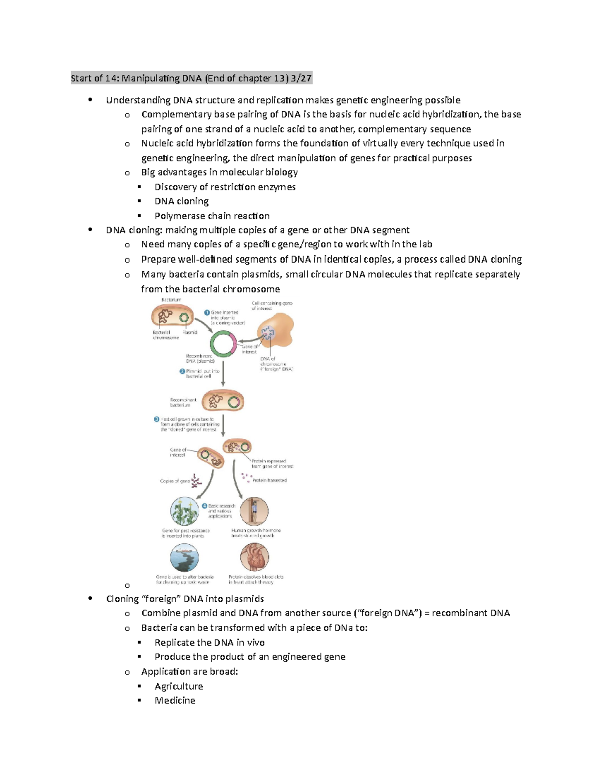Gen bio 2 exam 4 - This document is about DNA and translation and ...