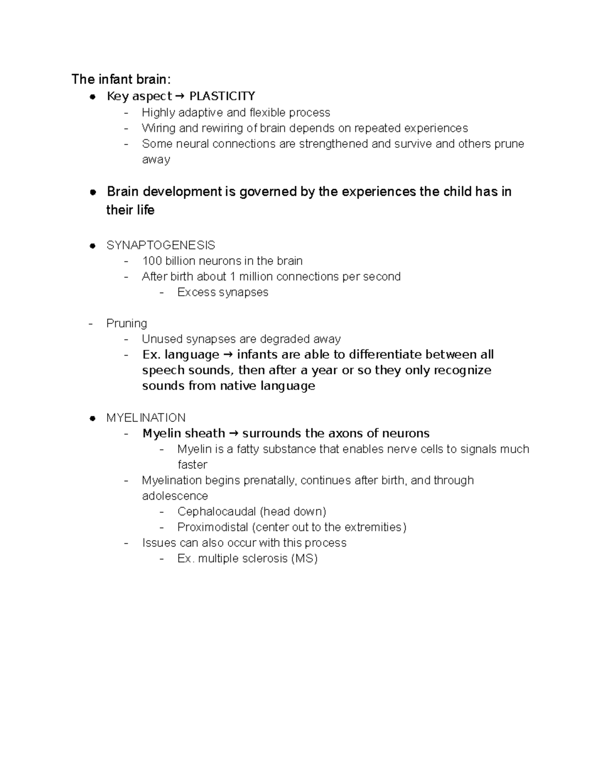 Week 5 - The infant brain: Key aspect → PLASTICITY Highly adaptive and ...