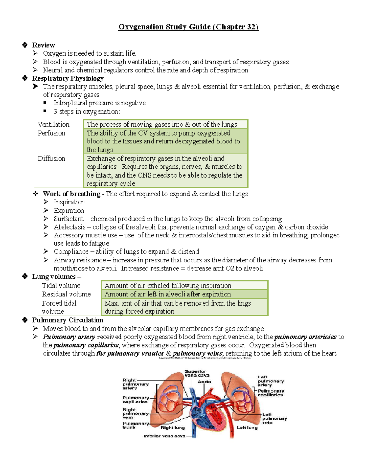 Oxygenation+Outline+%283%29 - Oxygenation Study Guide (Chapter 32) Review Oxygen is needed to ...