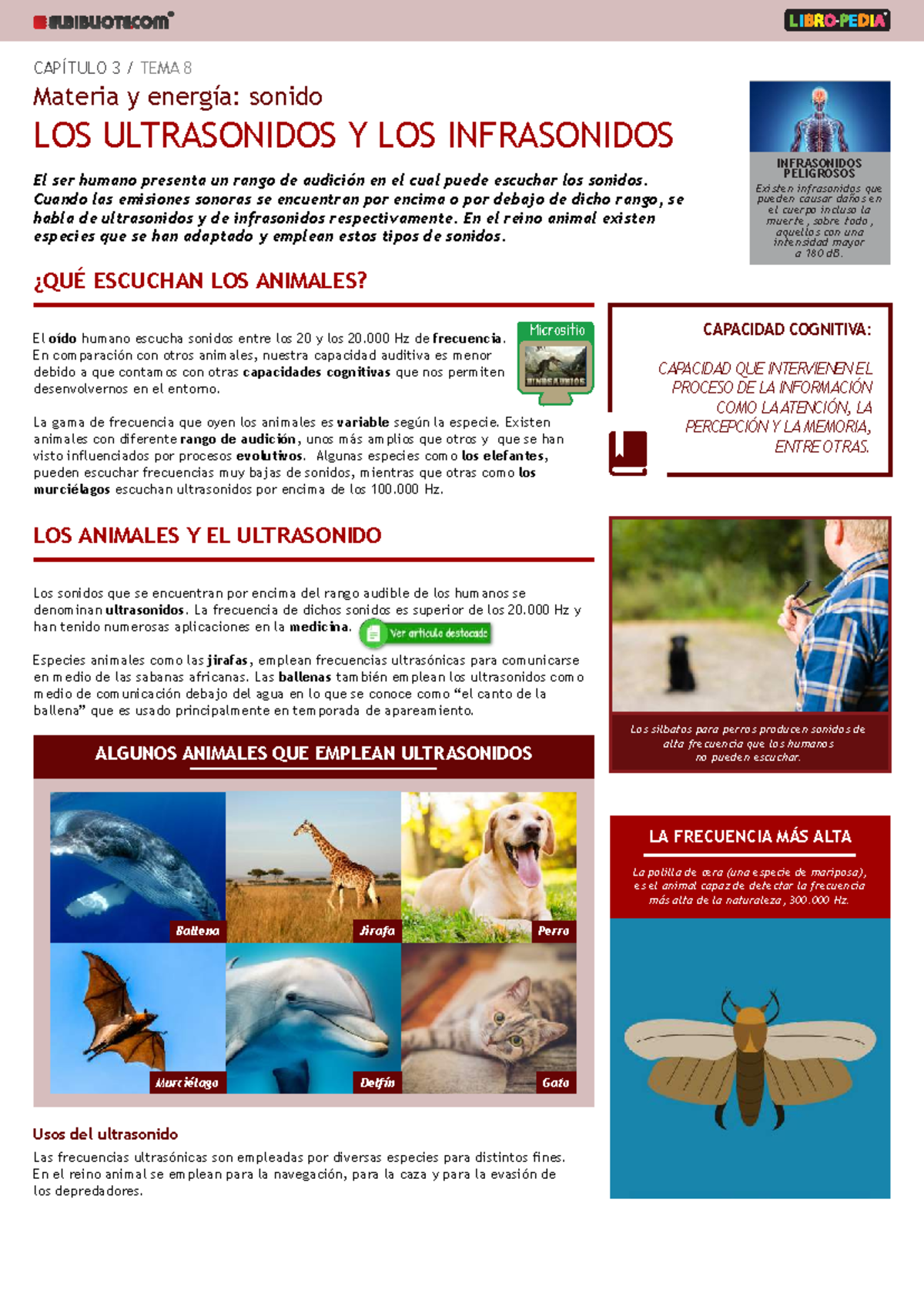 5 - Ywhwhe - CAPÍTULO 3 / TEMA 8 Materia y energía: sonido LOS ...