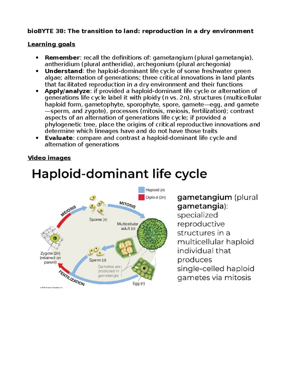 1802.Notes guide.bio BYTE 38 - bioBYTE 38: The transition to land ...