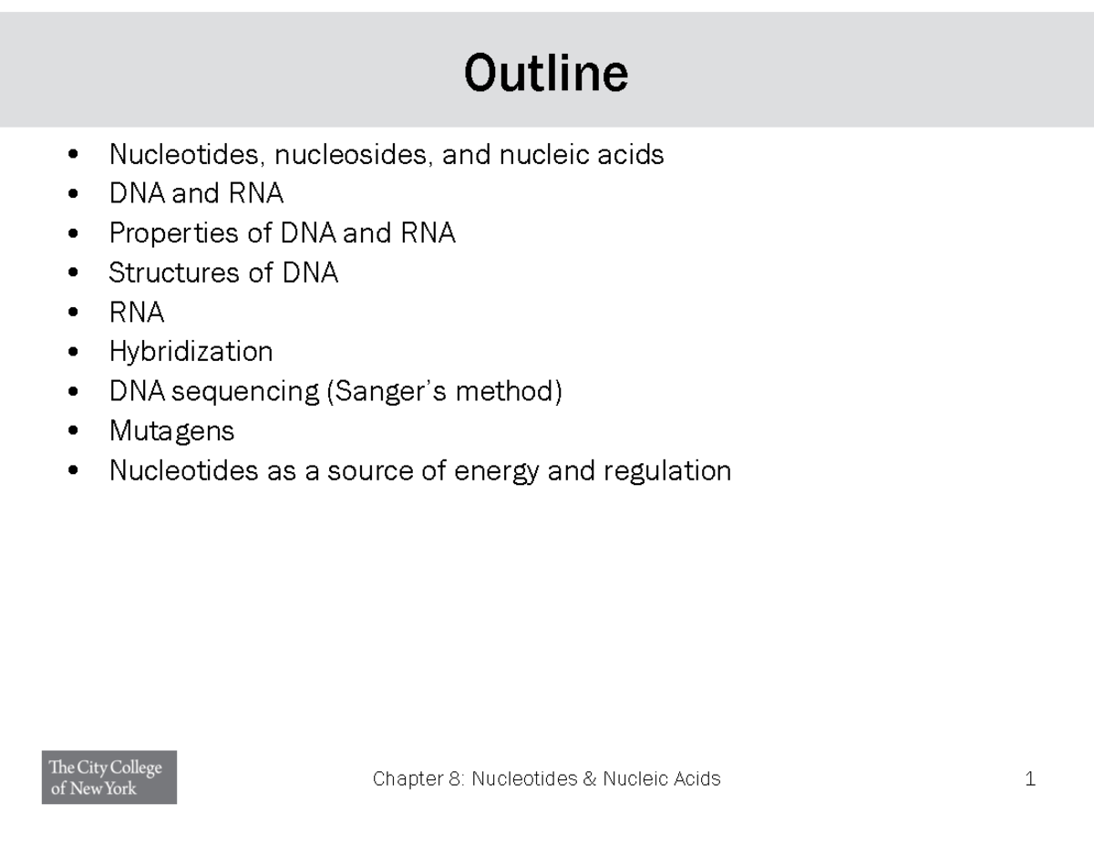 Biochem final nucleic acids - Outline Nucleotides, nucleosides, and ...