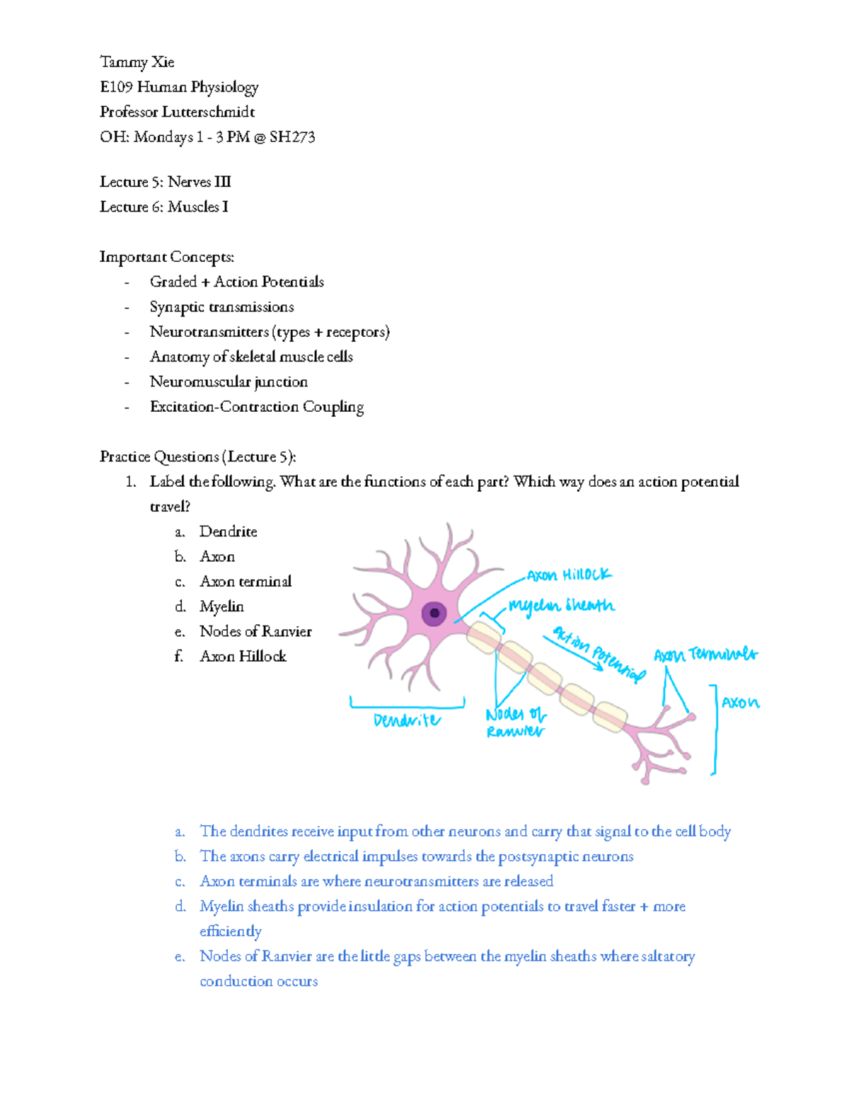 E109 Tammy Week 4 (Answers) - Tammy Xie E109 Human Physiology Professor Lutterschmidt OH ...