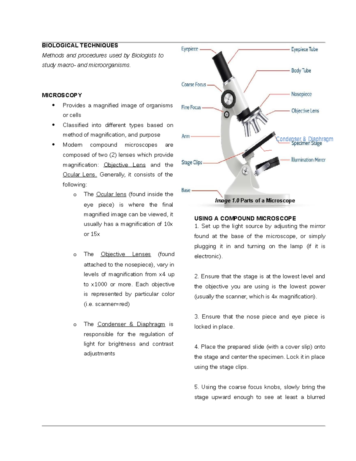 Biological Techniques - BIOLOGICAL TECHNIQUES Methods and procedures ...