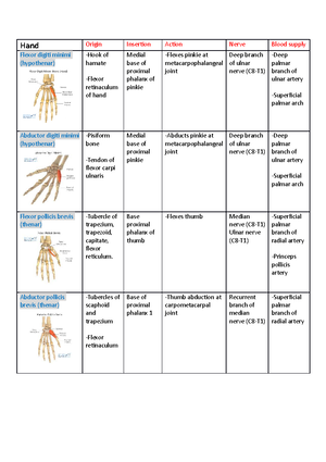 MSK Case Study: Subjective Assessment Objective Tests and Treatment ...