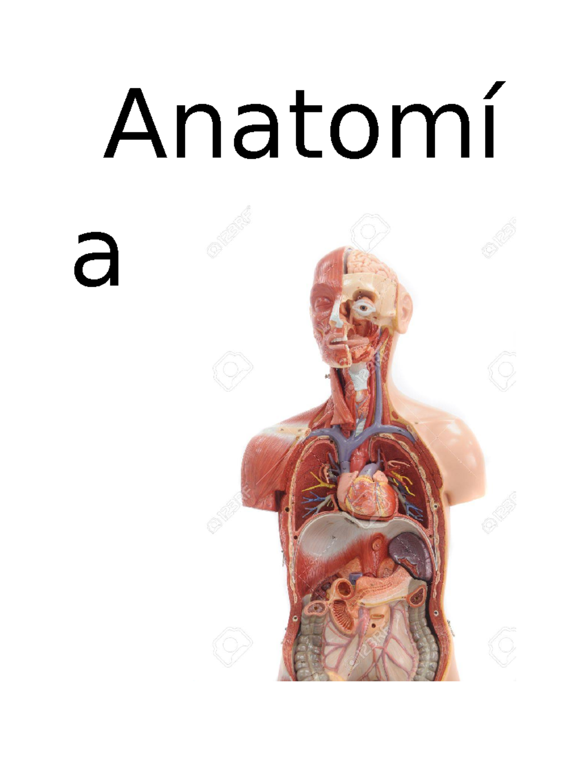Anatomía - Nota: A+ - Anatomí a La Anatomía se encarga del estudio de ...