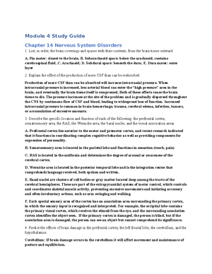 Intro to Human Pathophysiology Modules 4 - Module 4 Study Guide Chapter ...