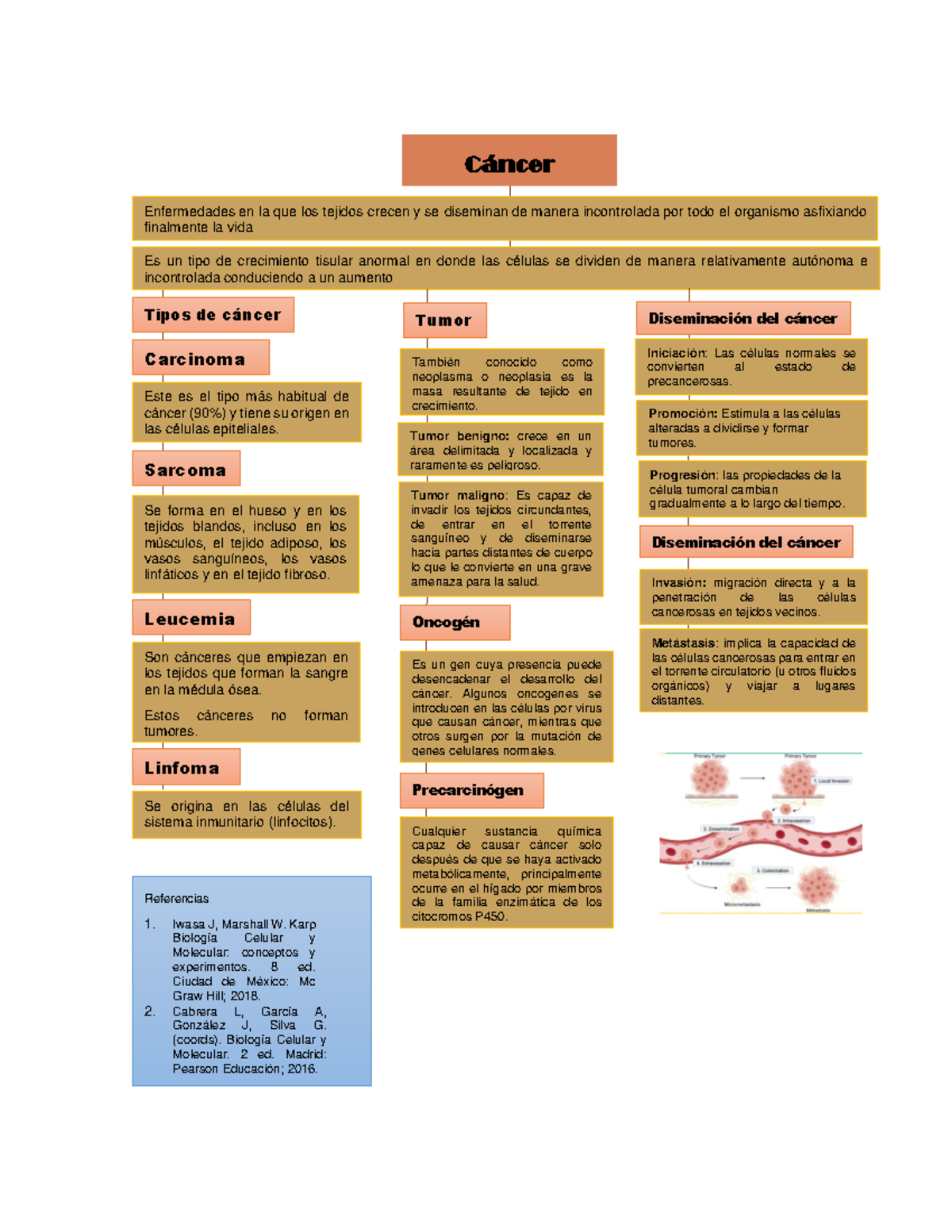 Cáncer - Qué es, tipos y características del cáncer. - C·ncer Carcinoma ...