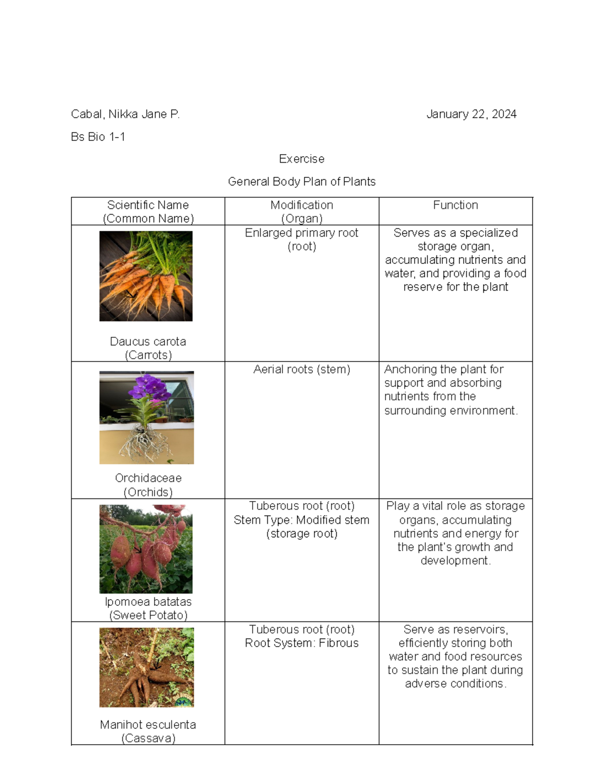 Cabal-Botany - Cabal, Nikka Jane P. January 22, 2024 Bs Bio 1- Exercise ...