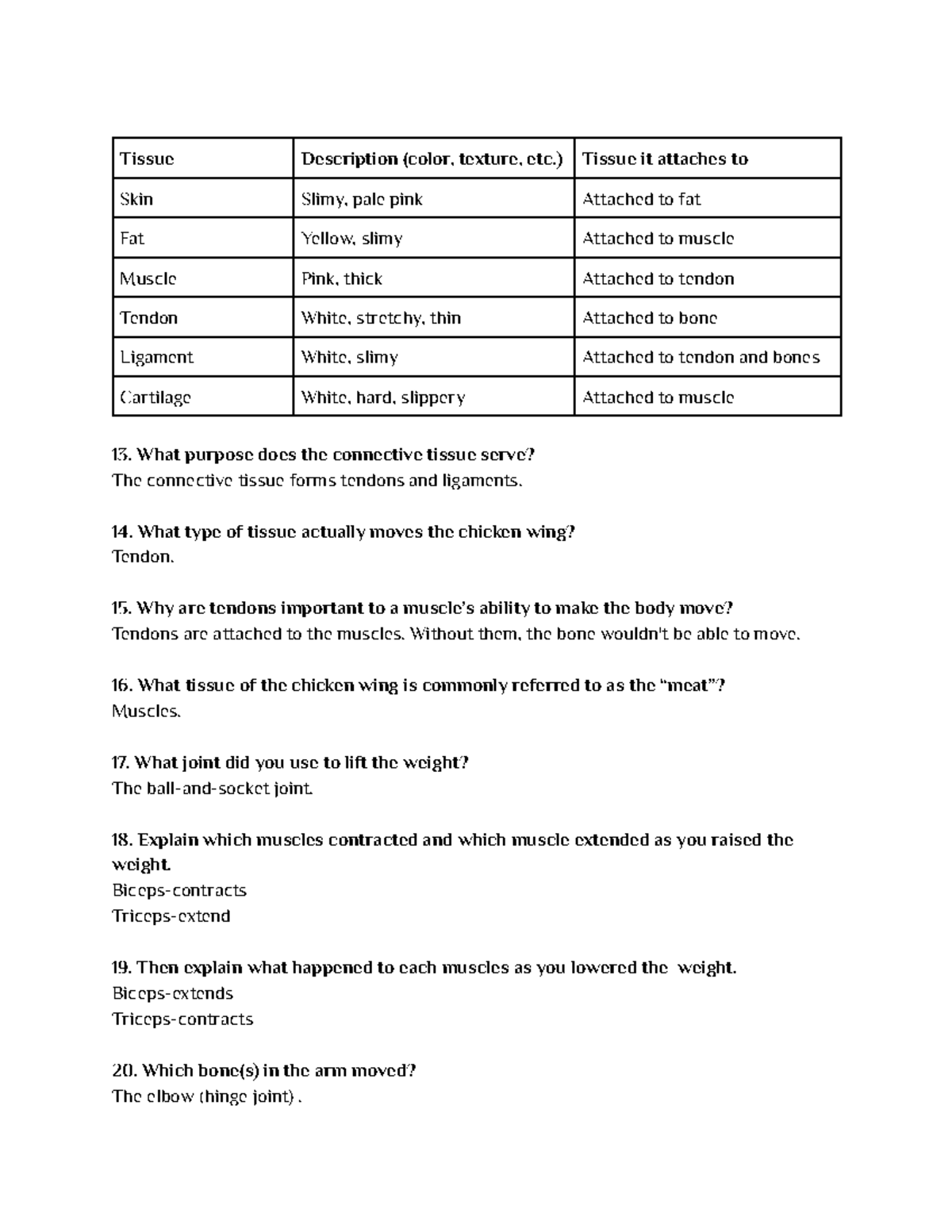 13 What Purpose Does The Connective Tissue Serve The Connective