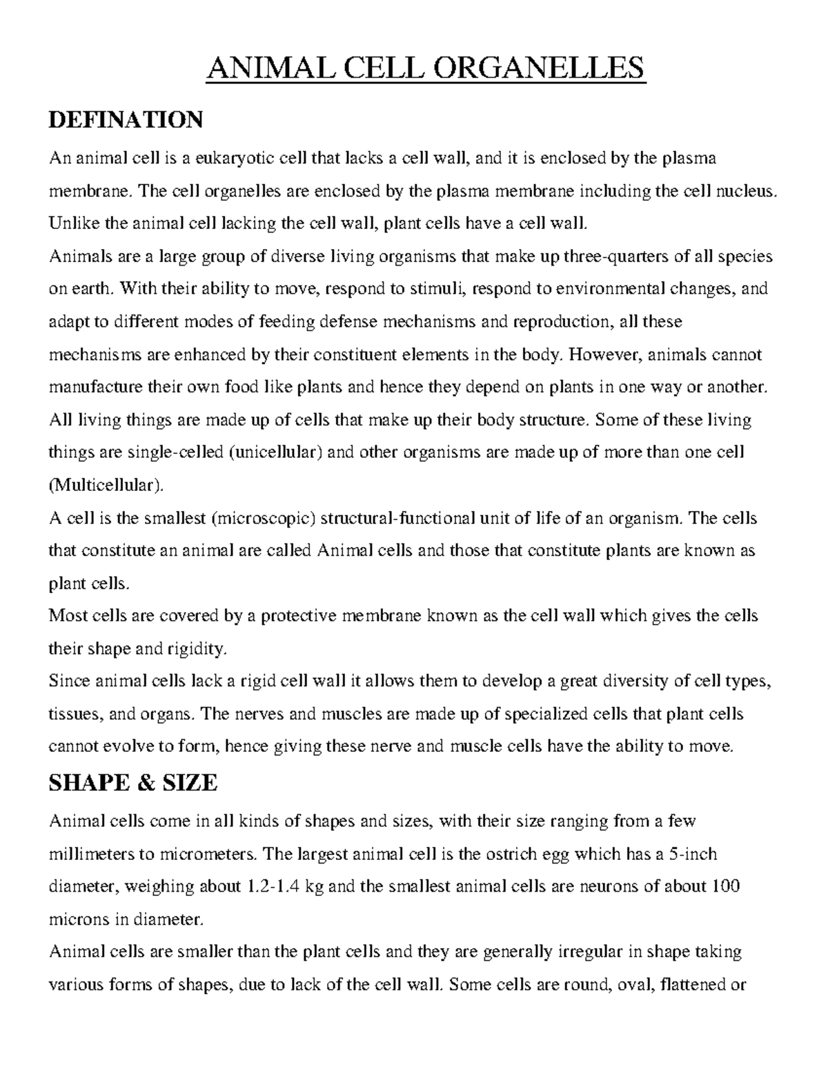 Animal CELL Organelles - ANIMAL CELL ORGANELLES DEFINATION An animal ...