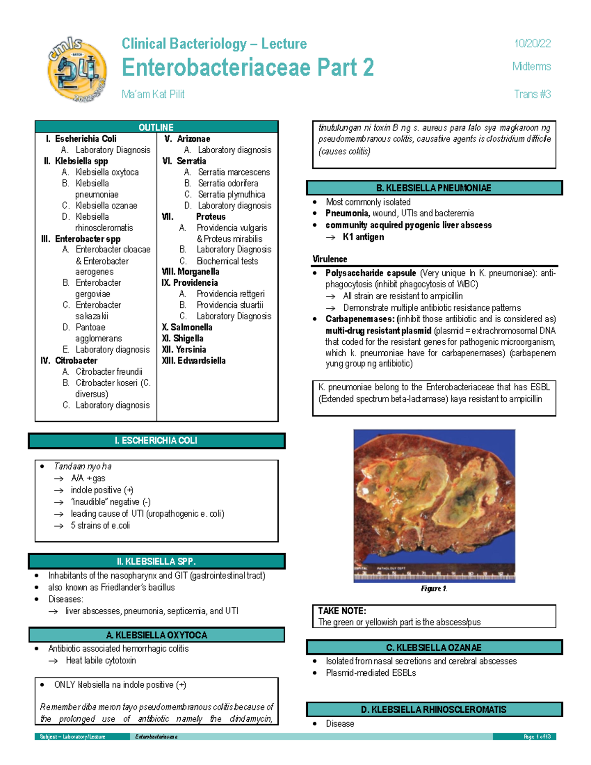 2.2 Enterobacteriaceae Part 2 - Clinical Bacteriology – Lecture 10/20 ...