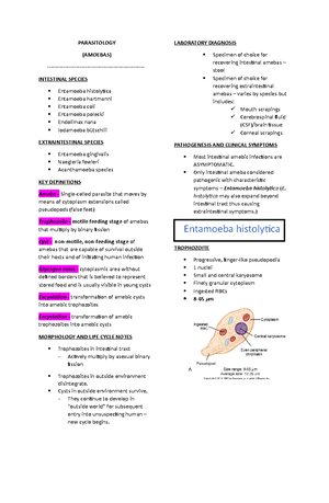 Reflection Paper 2 - REFLECTION PAPER “Madam Geeta Rani” A social film ...