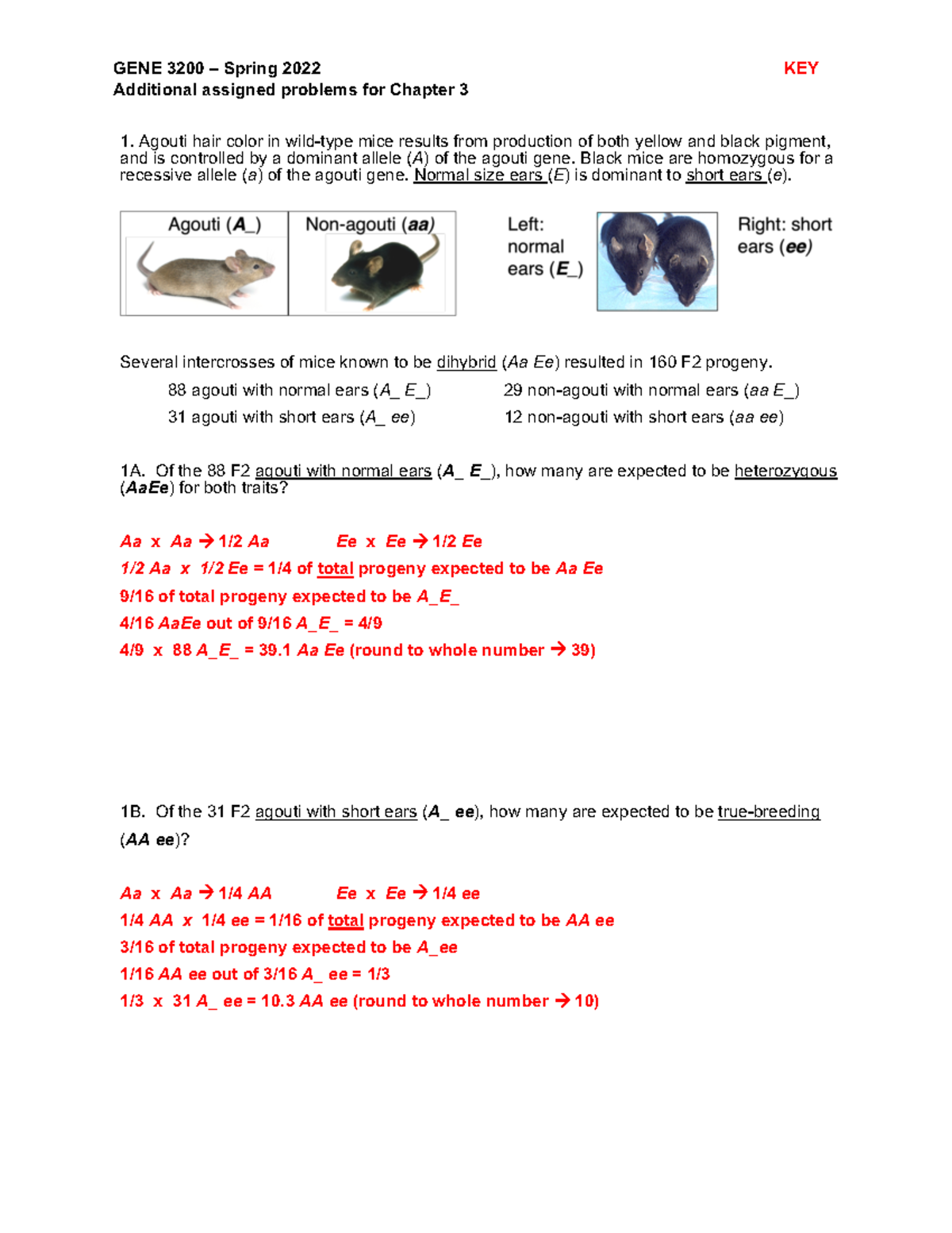 Chapter 3 Practice Problem KEY - Additional assigned problems for Chapter 3 1. Agouti hair color ...