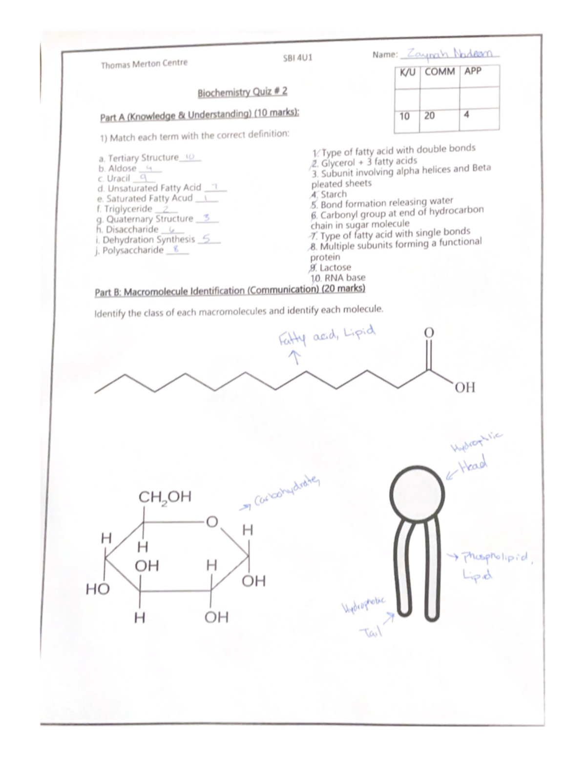 Biochemisty quiz - biochemistry unit - Studocu
