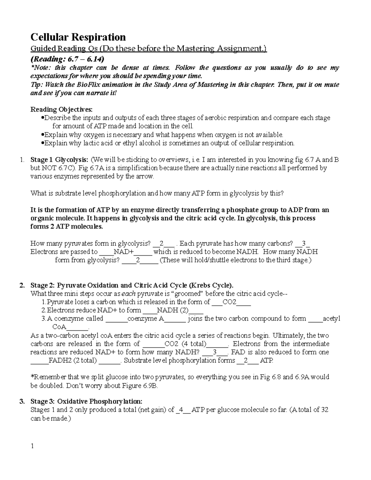 Lesson 7 GRQs - Cellular Respiration Guided Reading Qs ( Do these ...