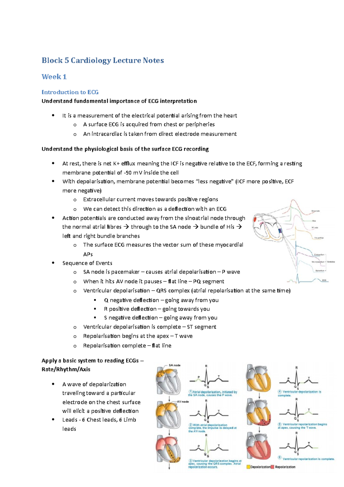 Block 5 Cardiology Lecture Notes - Block 5 Cardiology Lecture Notes ...