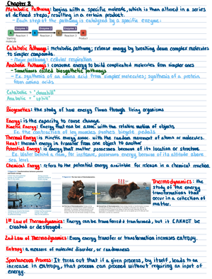 Chapter 9 Book Notes - Summary Campbell Biology - Cellular Respiration ...