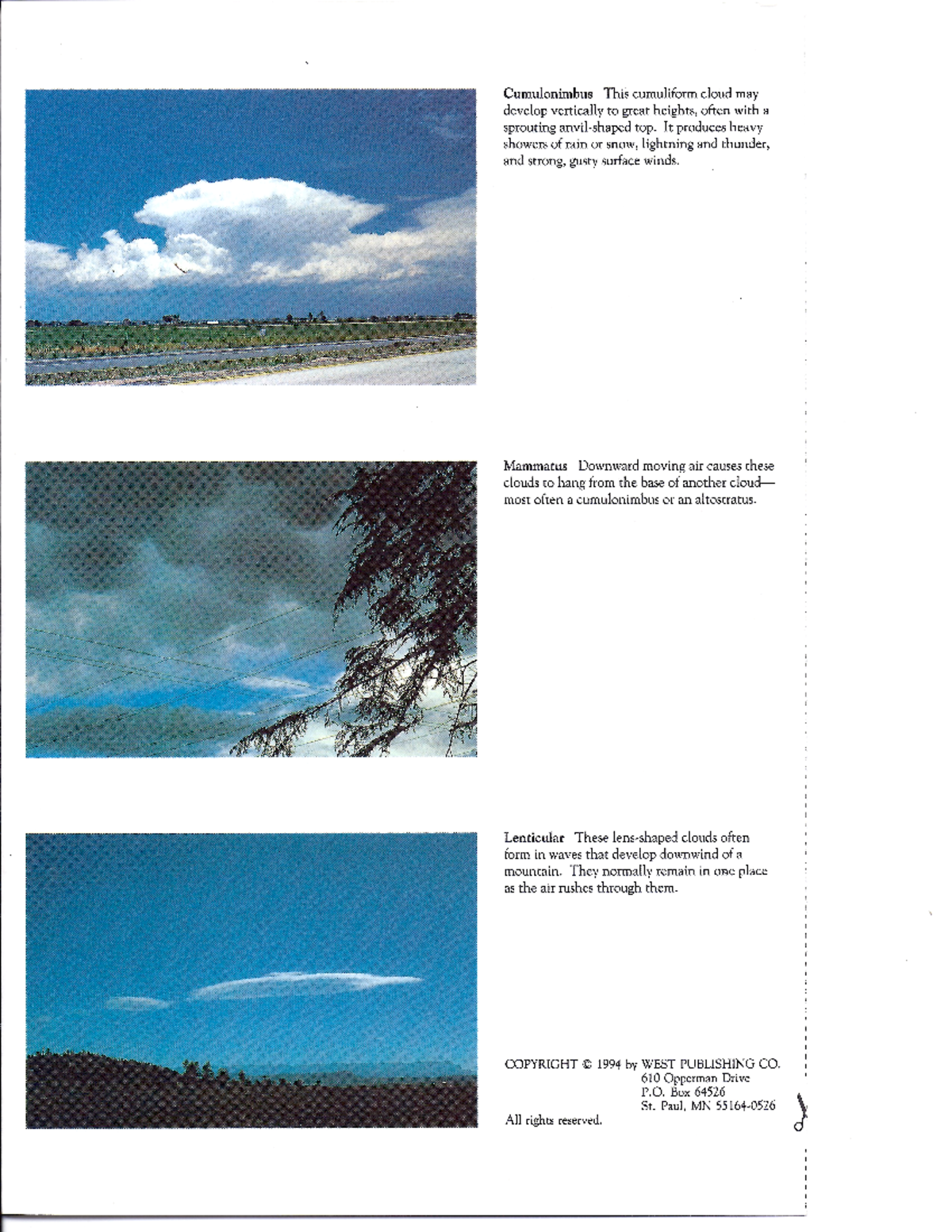 Cloud chart notes - Cumulonimbus This cumuliform cloud may develop ...