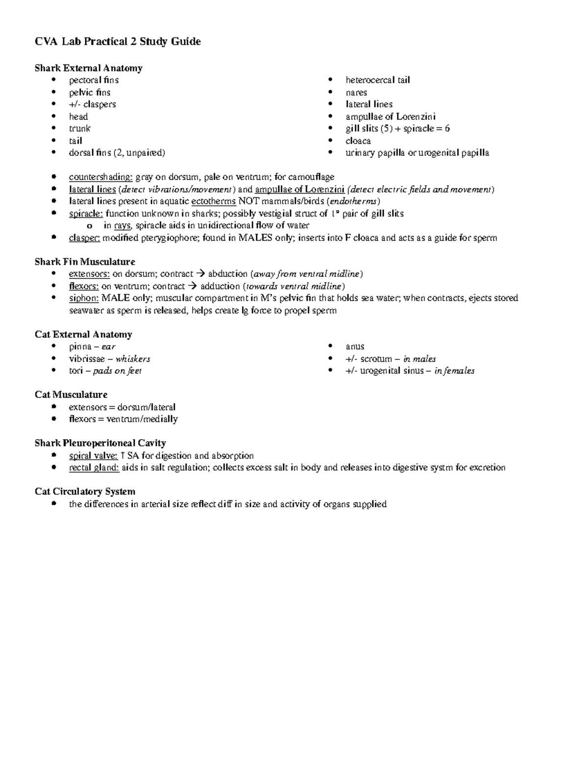 Lab Practical 2 Study Guide - CVA Lab Practical 2 Study Guide Shark ...