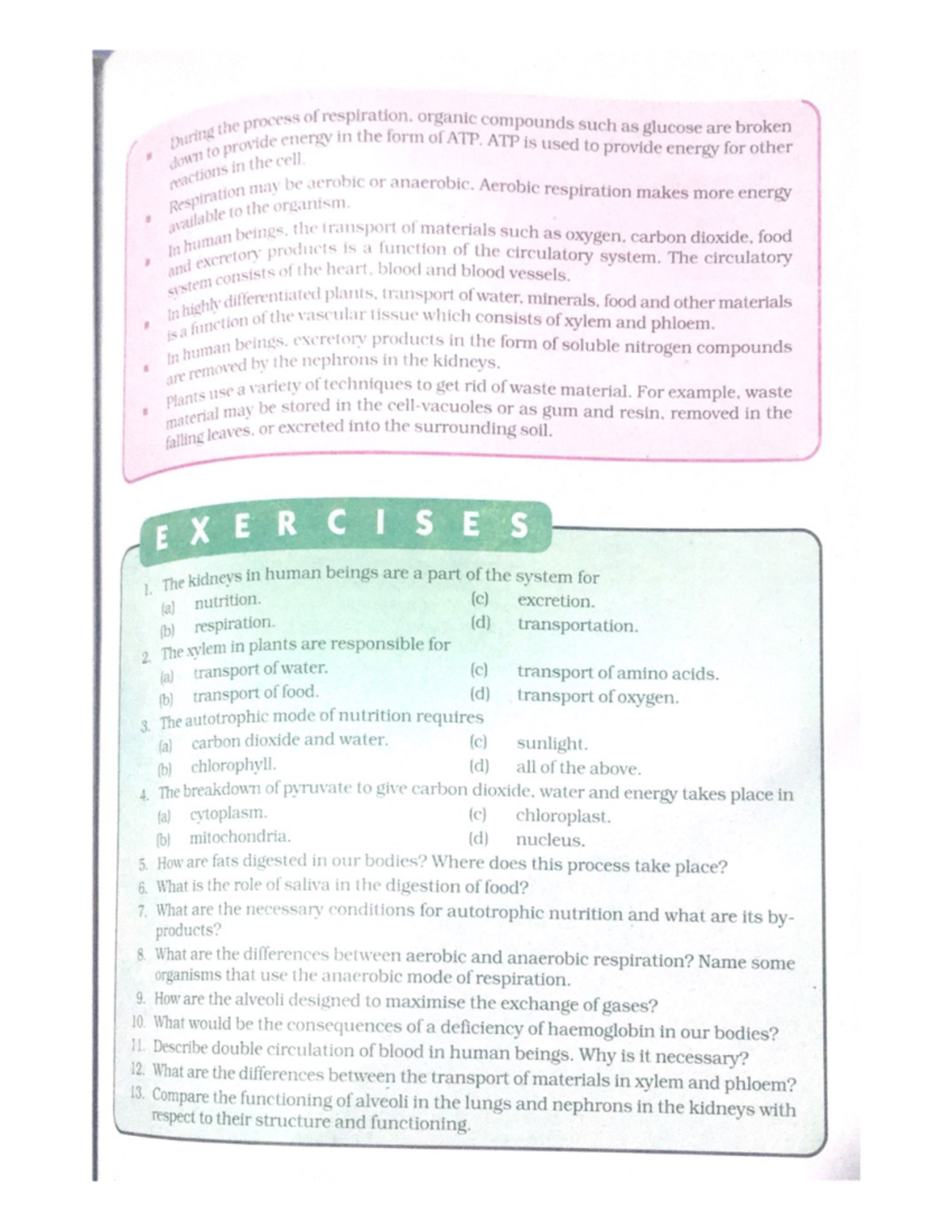 Biology life process 4 - Useful for All Students and Xth - Human ...
