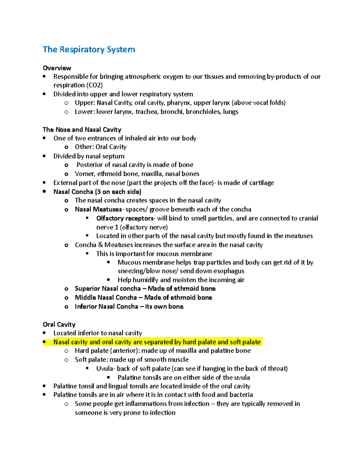 Midterm 4 Notes - n/a - The Respiratory System Overview Responsible for ...