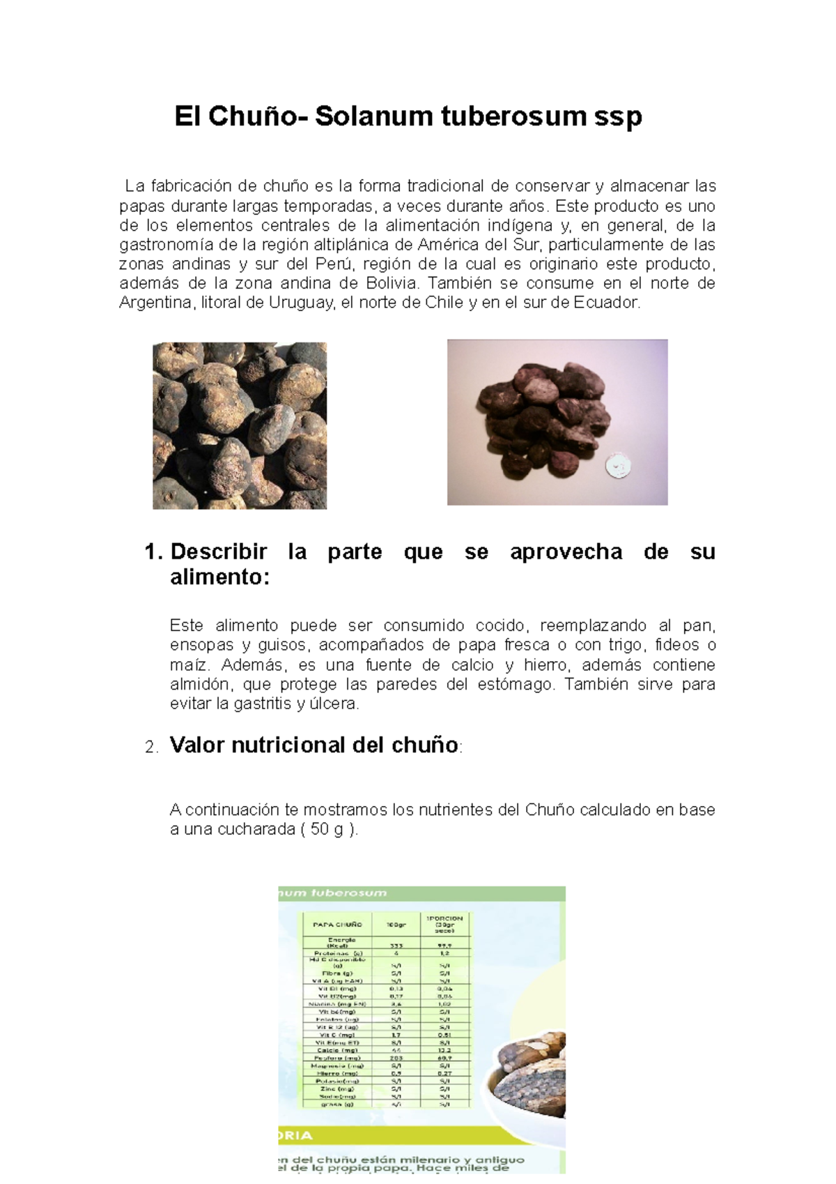 El Chuño - El Chuño- Solanum tuberosum ssp La fabricación de chuño es ...