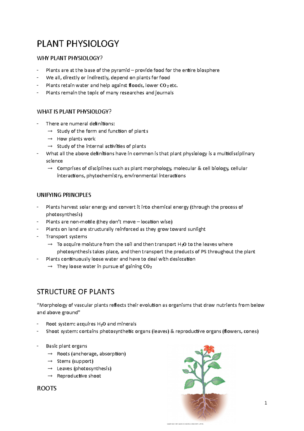 4. Plant Structure - Lecture notes 4 - Stirling - Studocu