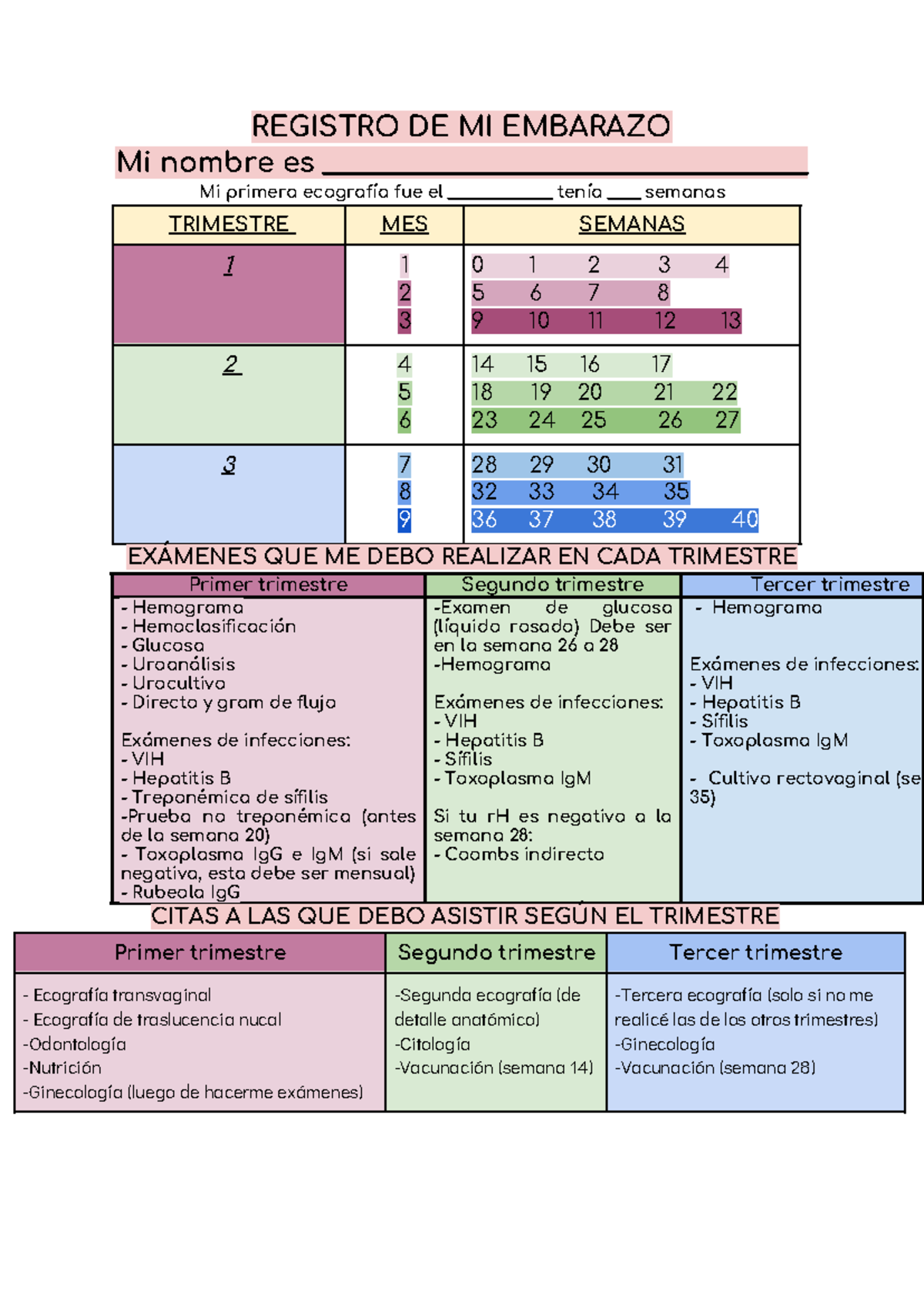 Imprimir A LAS Maternas Control Prenatal - REGISTRO DE MI EMBARAZO Mi ...