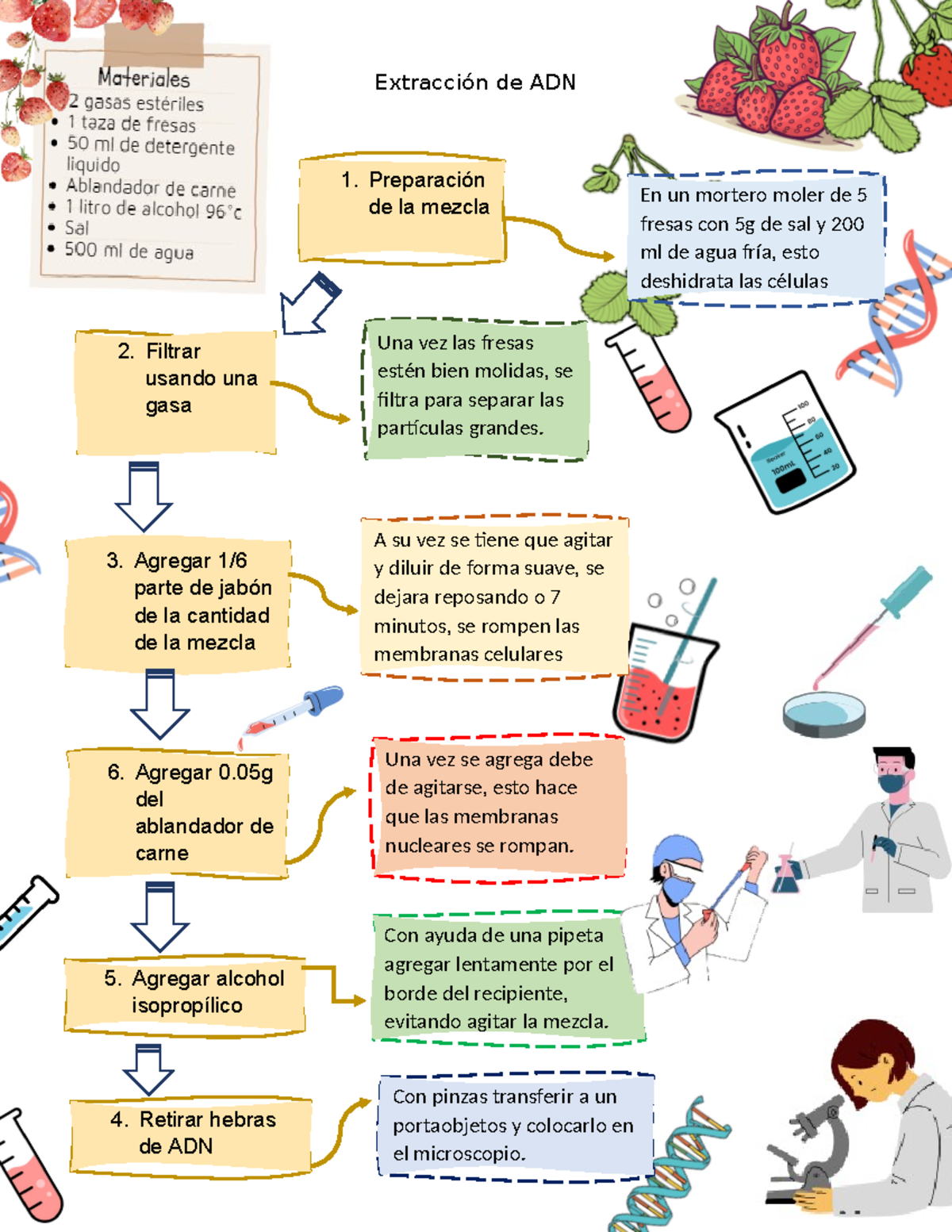 Diagrama de flujo, extracción de ADN - Preparación de la mezcla 2 ...