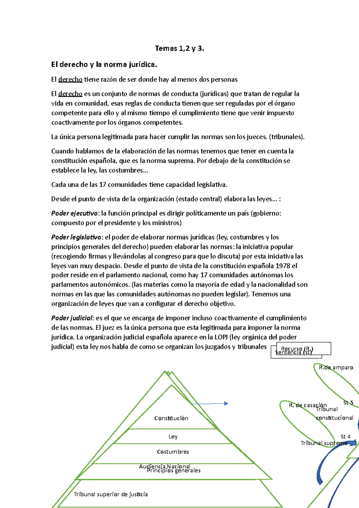 Wuolah free El derecho y la norma juridica - Temas 1,2 y 3. El derecho y la norma jurídica. El ...