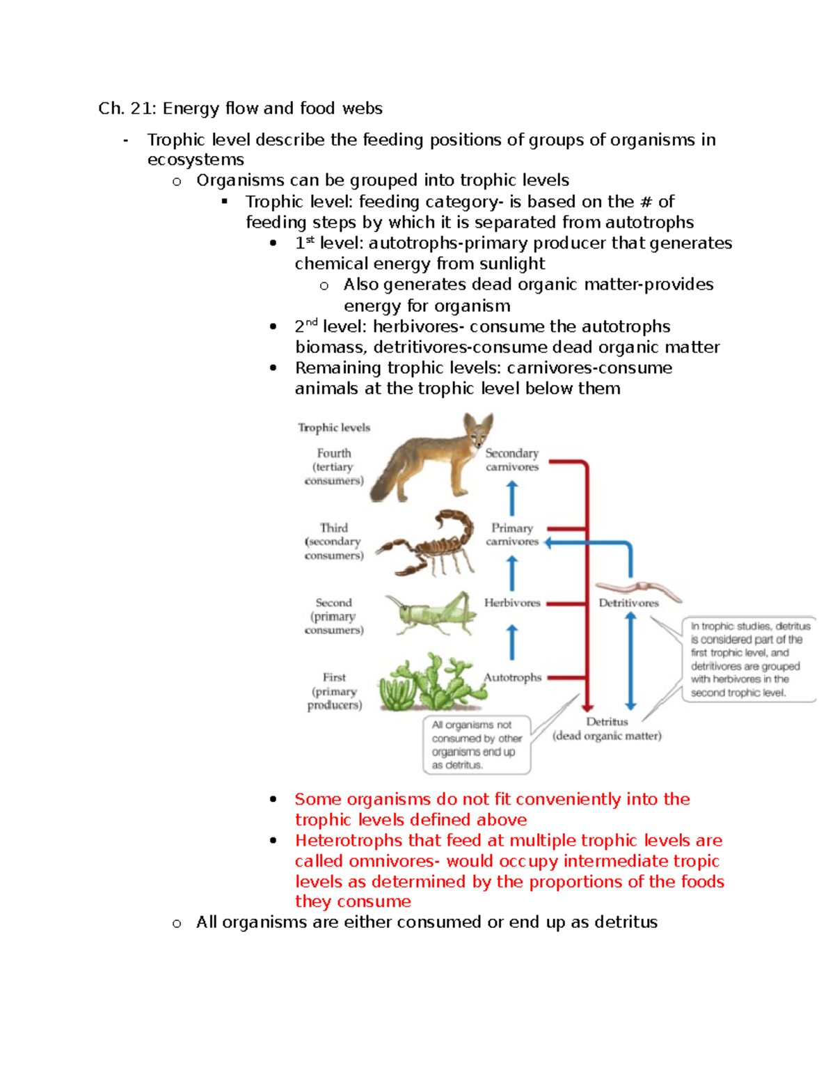 Ch 21 Energy notes (1) - Ch. 21: Energy flow and food webs - Trophic ...